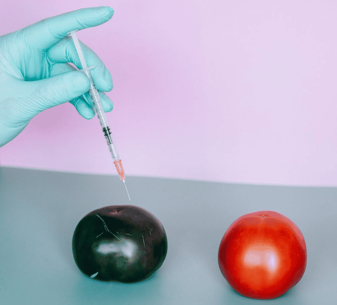 What Are Software Artifacts and How to Prevent Poisoning?